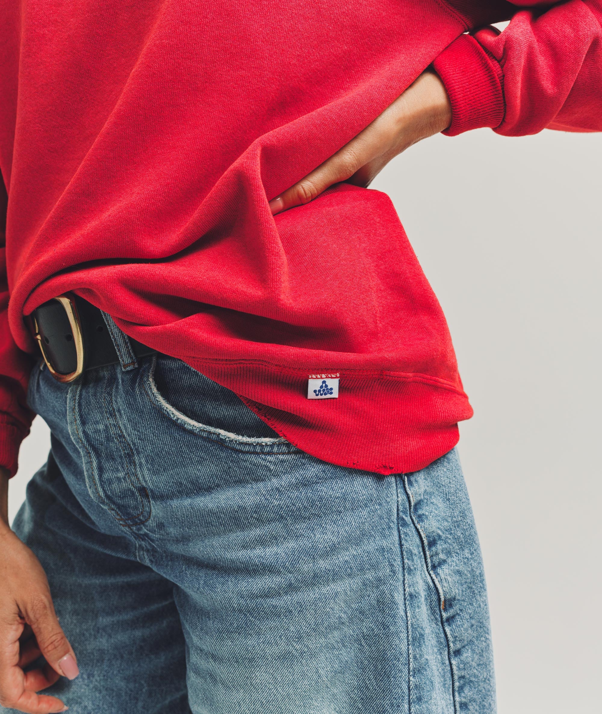 AWE Faded Sweatshirt Red – American Waste Enterprise